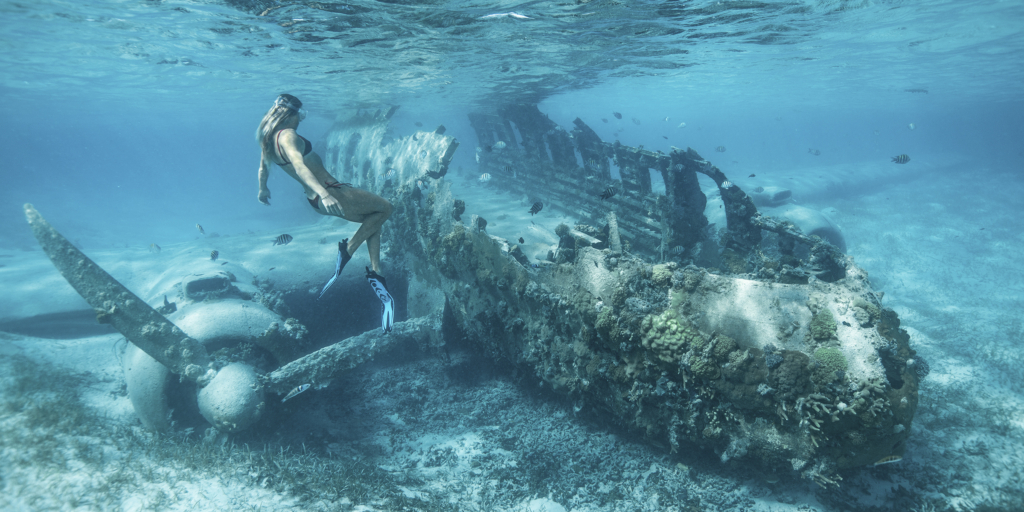 Where is the Best Diving in the Bahamas? | The Moorings